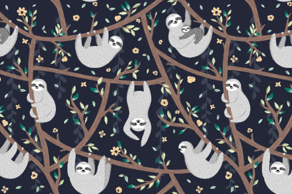 Baby sloth Wallpaper Mural - Kids Animal Wallpapers - Wall Murals