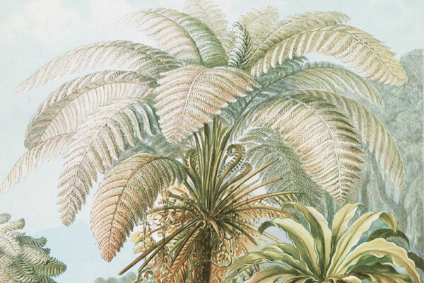 Antique Jungle Wallpaper Mural - Vintage Tropcial Wallpaper - Wall Murals